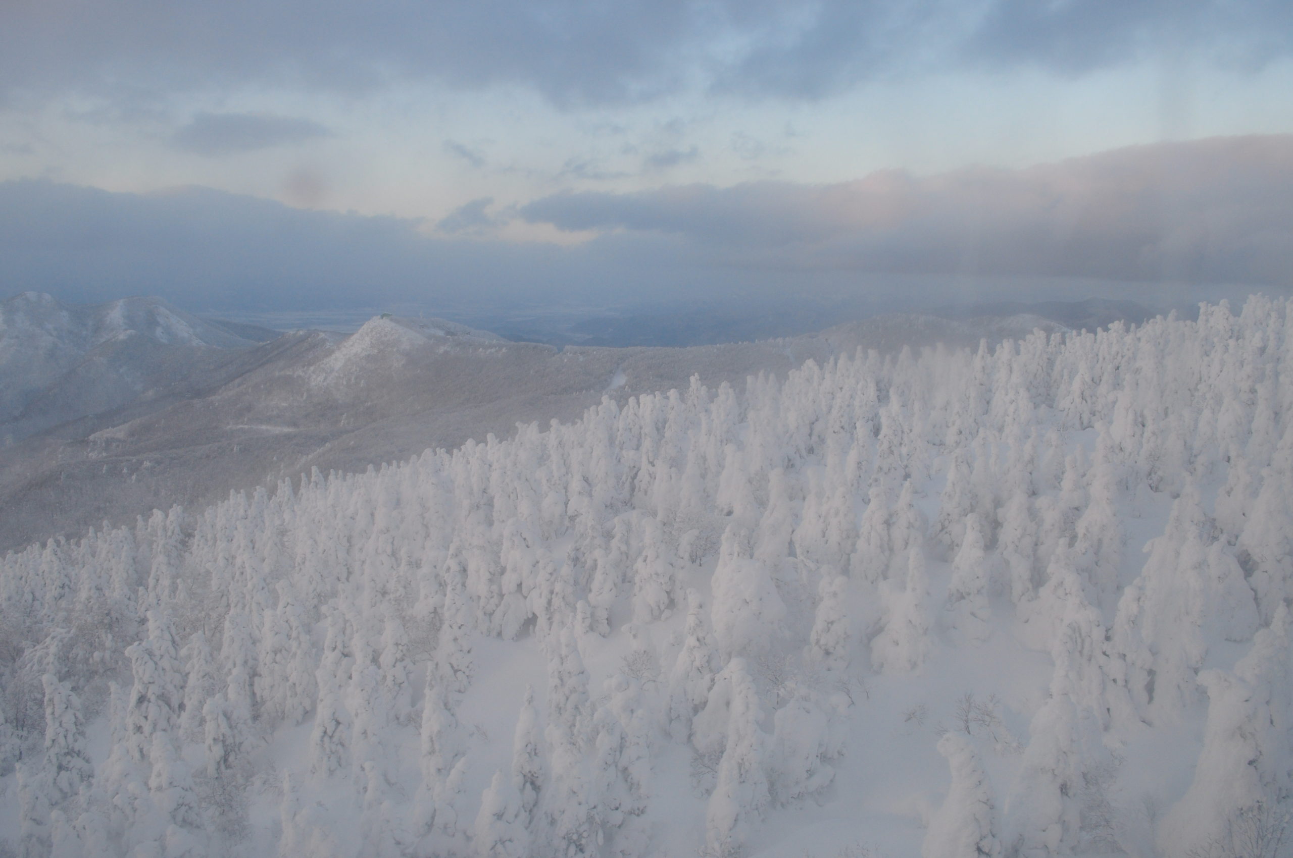 Snow Monsters – Japan with the fam